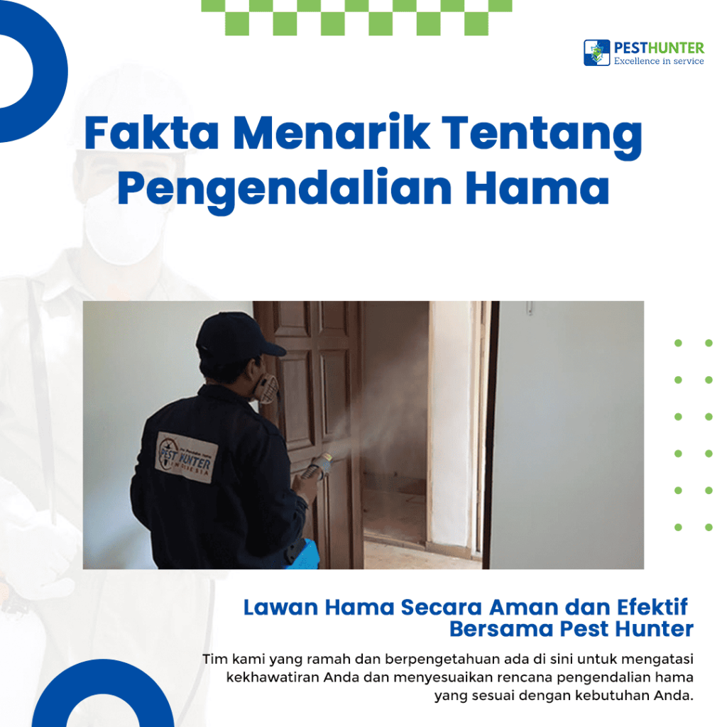 Fakta Menarik Tentang Pengendalian Hama – Pest Hunter